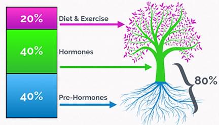 Core-N-AJ Metabolic Ratio Test Results